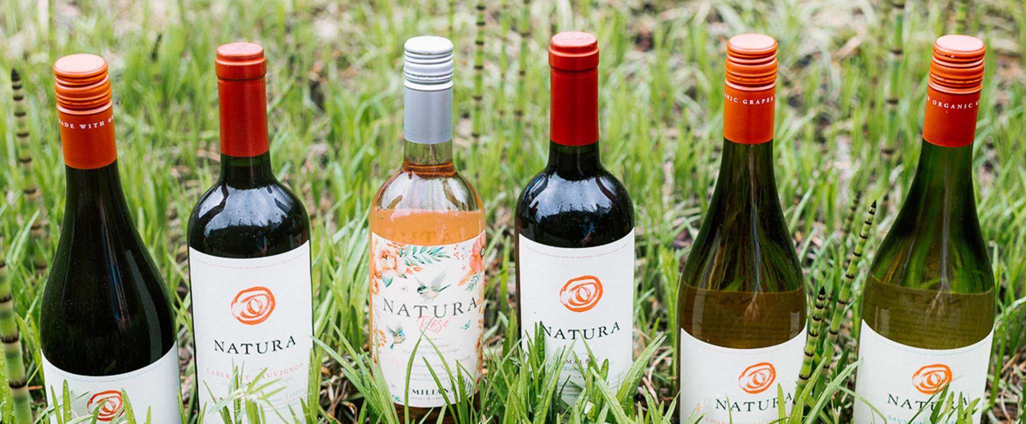 Alabama Retail Distributor | Premium Wine, Beer & Spirits
